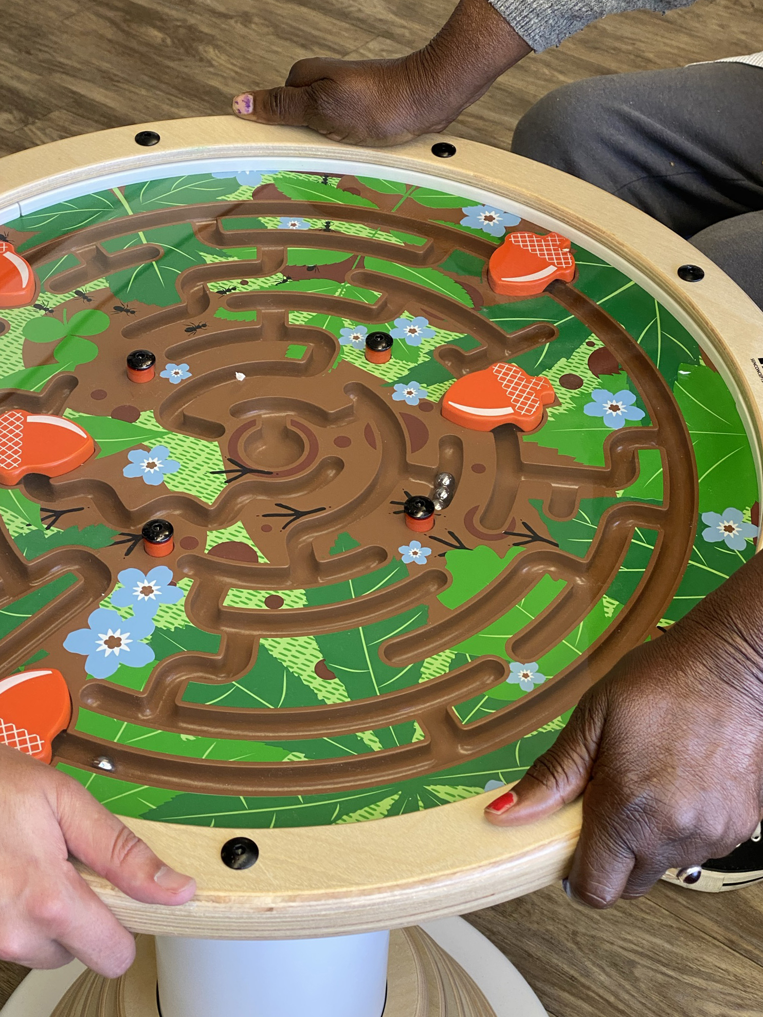 Swinging Top Maze | ISC